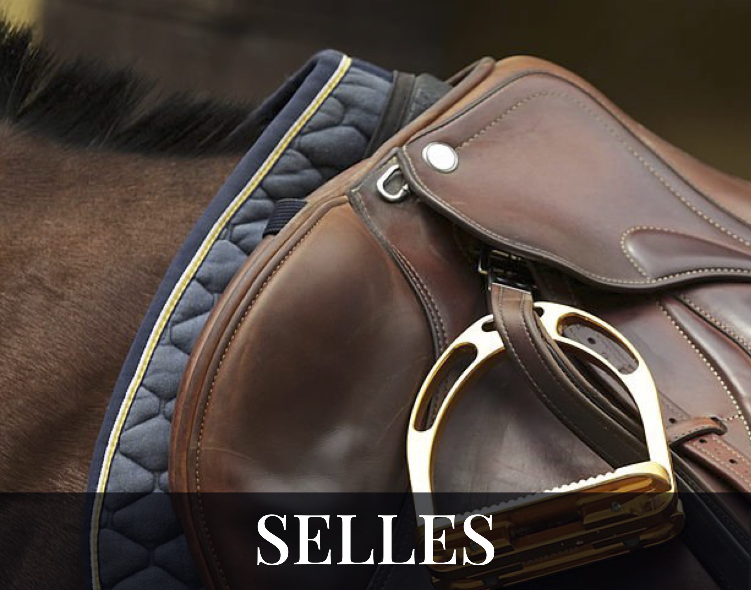 Sellerie équitation - Boutique en ligne - SN Equitation